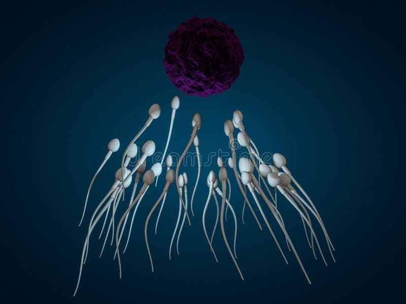 Sperm and Egg Cell Microscopic View. 3D Stock Illustration ...