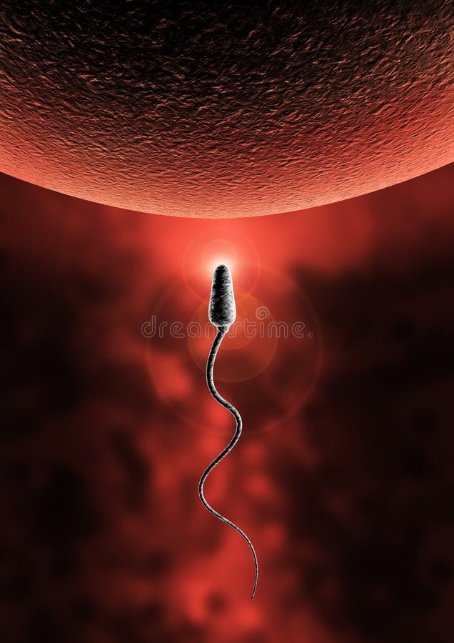 Natural Insemination: Sperm And Human Egg Stock Illustration ...