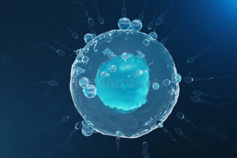 Conception of Life-insurance and Property Stock Illustration ...