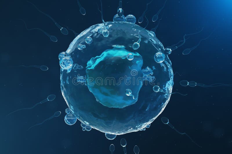 Conception of Life-insurance and Property Stock Illustration ...