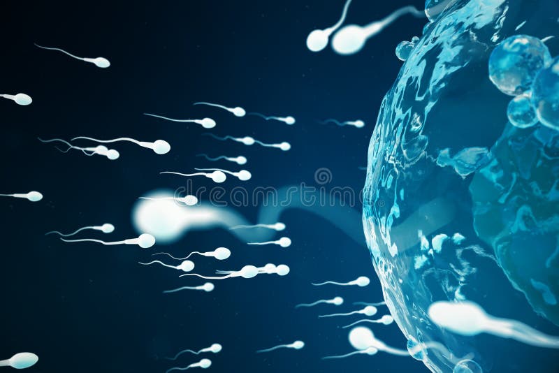 Sperm and Egg Cell, Ovum. Native and Natural Fertilization - Close-up ...
