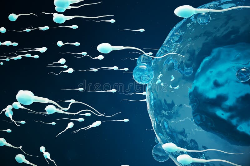 Sperm and Egg Cell, Ovum. Native and Natural Fertilization - Close-up ...