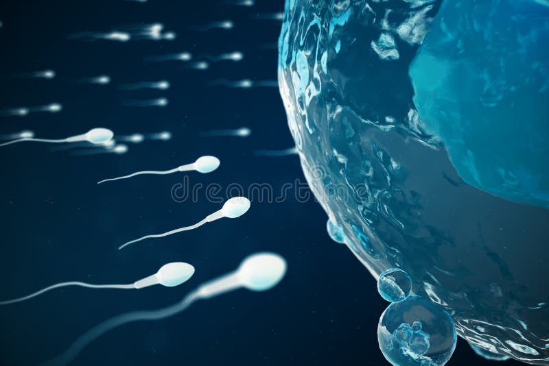 Sperm and Egg Cell, Ovum. Native and Natural Fertilization - Close-up ...