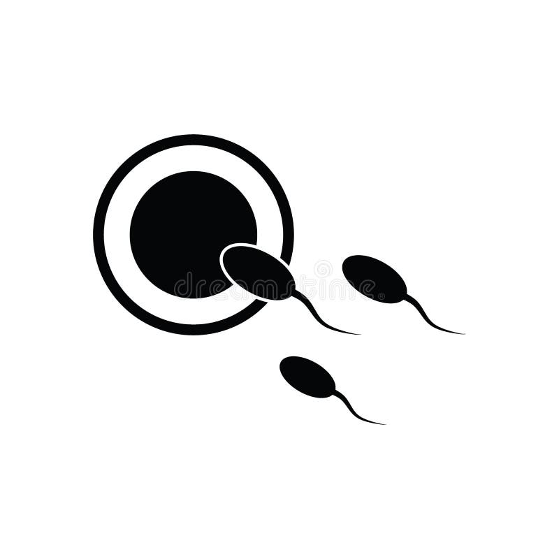 Sperm Fertilizing Egg Stock Illustrations 95 Sperm Fertilizing Egg