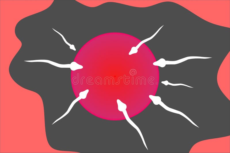 Sperm illustration vector stock vector. Illustration of doctor - 287036529