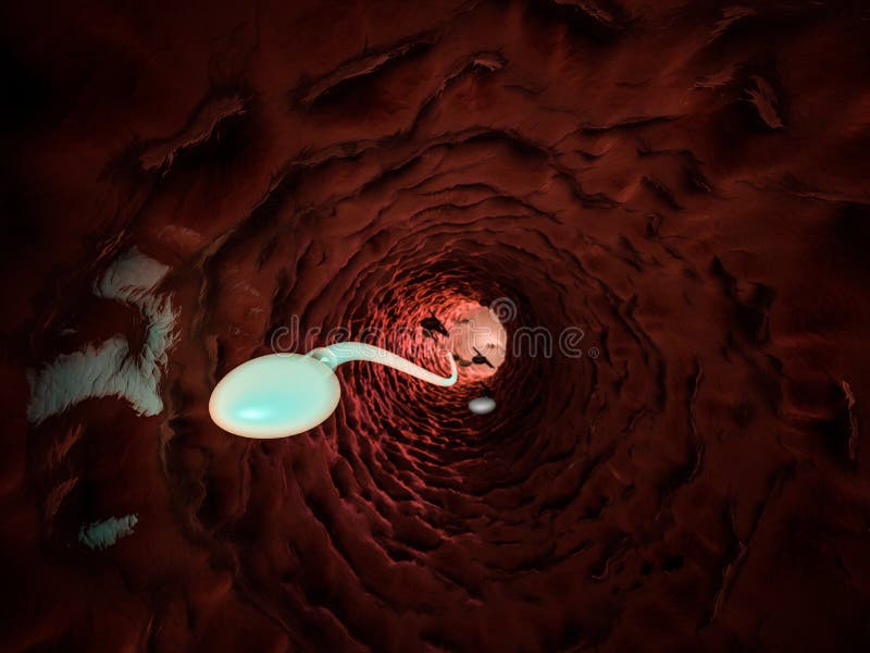 Sperm microscopic view. 3D stock illustration. Illustration of micro ...