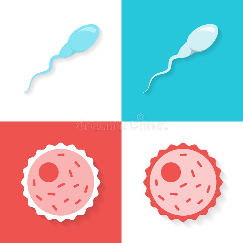 Sperm And Ovum Or Egg Set In A Flat Style Isolated On A White Or
