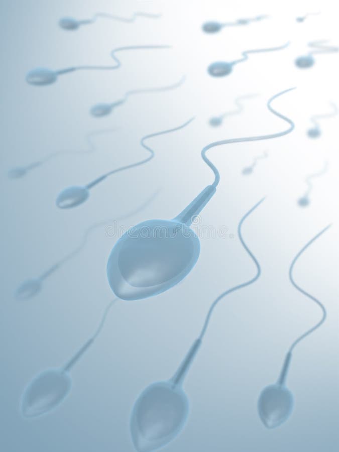 Sperm (semen) stock illustration. Illustration of technology - 3169657