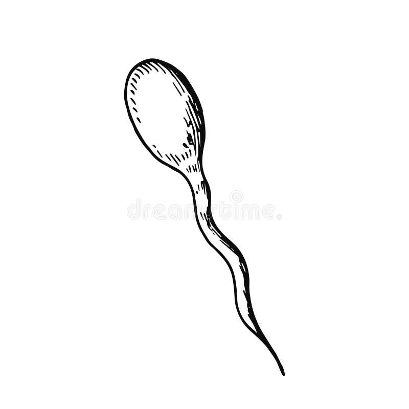 Sperm Cell Silhouette Vector. Isolated Object Stock Vector ...