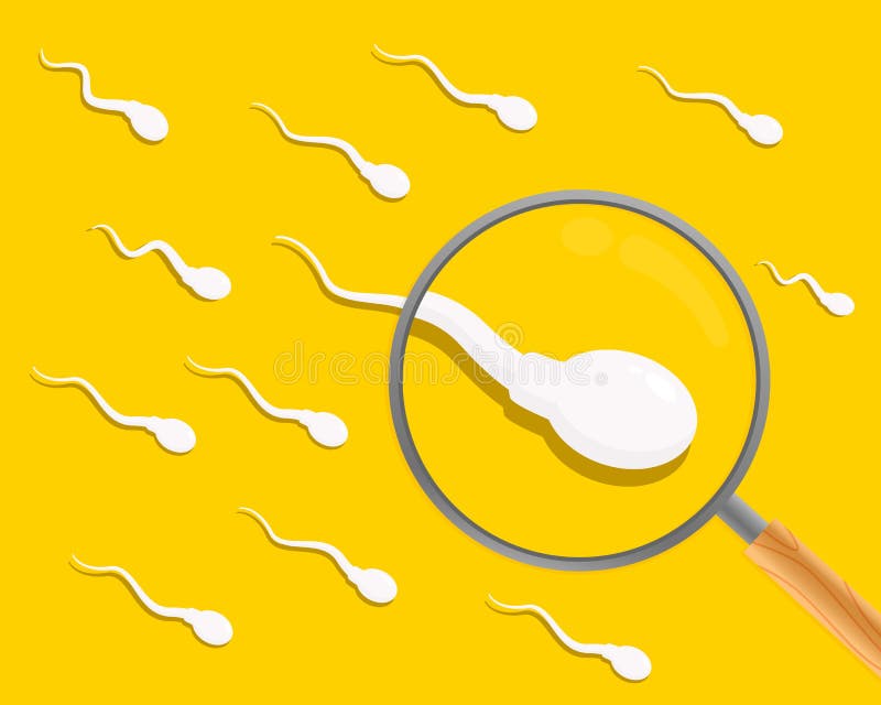 Sperm Spermatozoa And A Magnifying Glass Sperm Analysis Spermogram Stock Vector