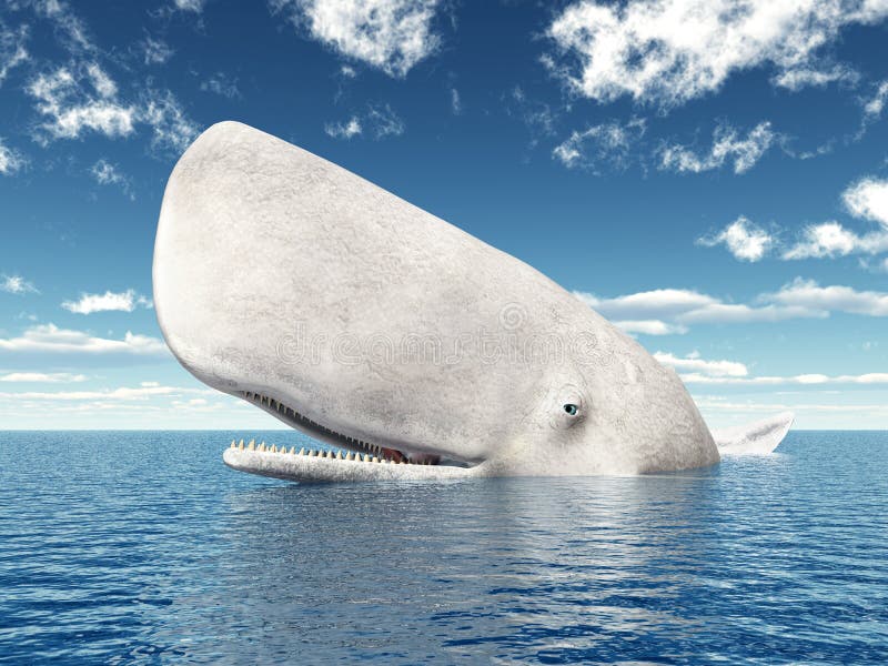 Sperm Whale Isolated on White Background Stock Illustration ...