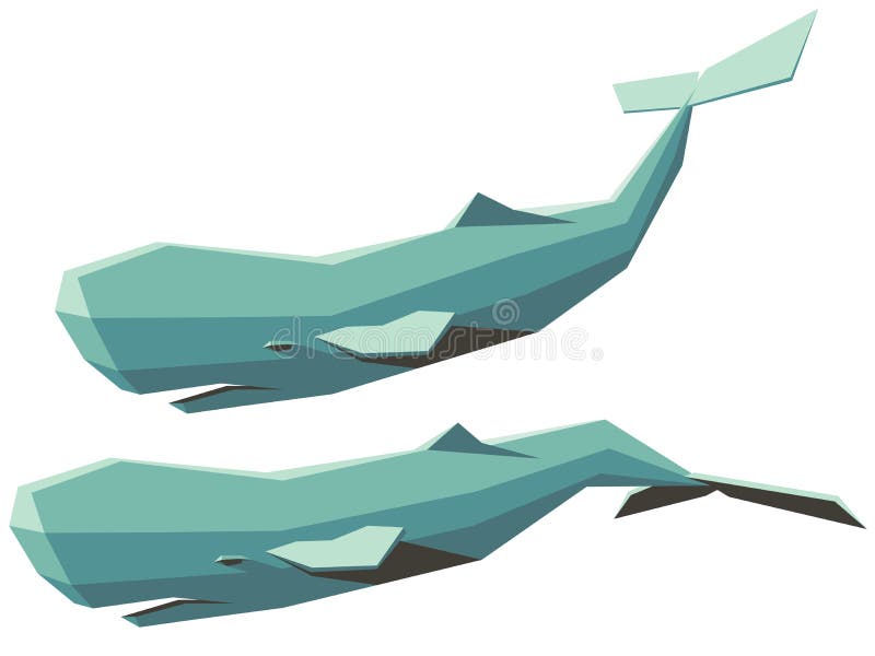 Sperm whale set stock vector. Illustration of atlantic - 62005442