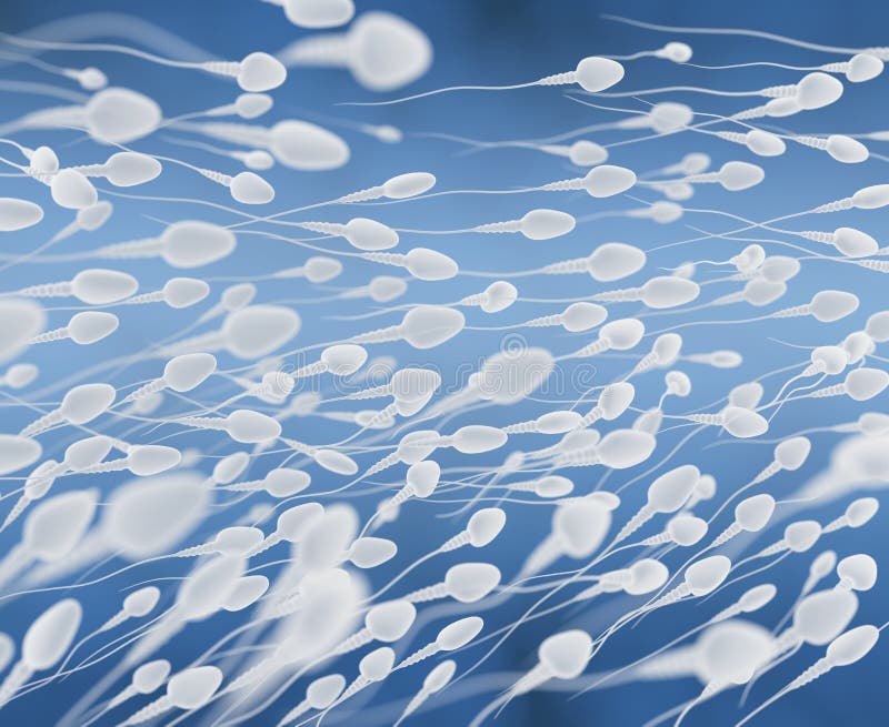 Spermatozoons stock illustration. Illustration of ovum - 49553737