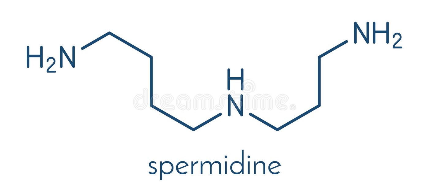 Spermidine Molecule Stock Illustrations – 36 Spermidine Molecule Stock ...