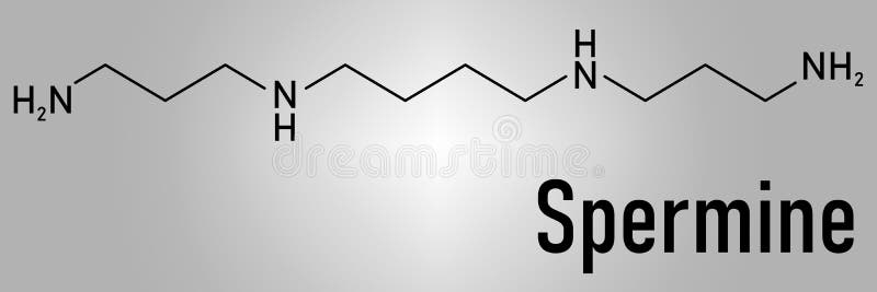 Spermine Molecular Structure Stock Illustrations – 12 Spermine ...
