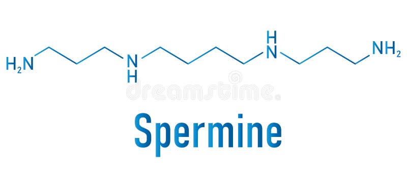 Spermine Molecular Structure Stock Illustrations – 12 Spermine ...