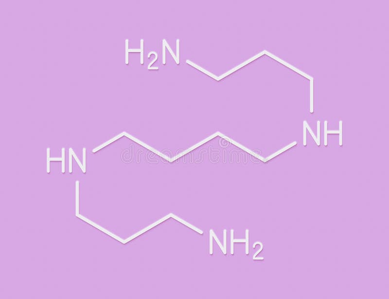 Spermine Molecule. Skeletal Formula Stock Illustration - Illustration ...
