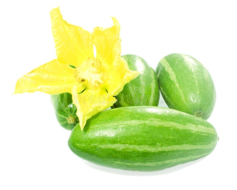 Isolerad spetsig kalebass arkivfoto. Bild av tropiskt - 93988308