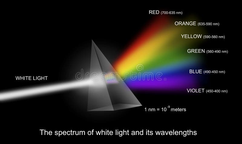 Spettro Della Luce Bianca Con Lunghezze D'onda Illustrazione di Stock ...