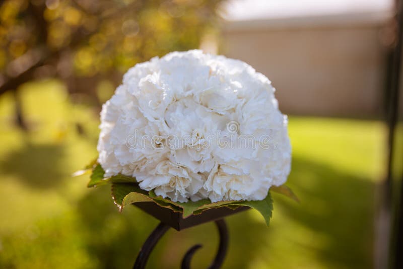 Sphere Made of Ninety Two Nature Photos Stock Image - Image of flowers ...