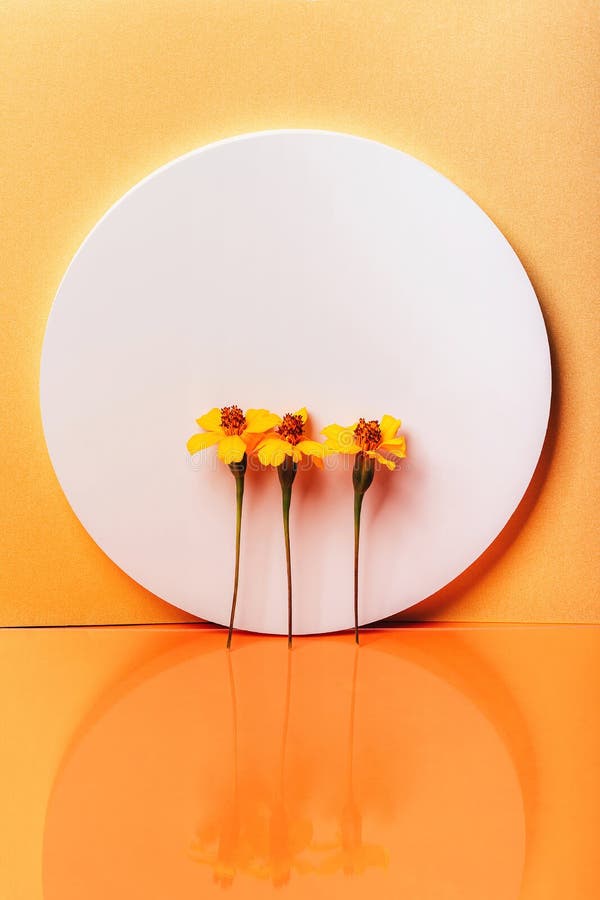 Sphere Shape Stand with Chernobrivtsi Flowers on Orange Background with ...