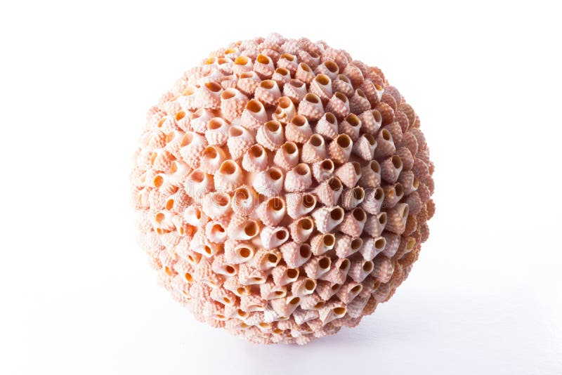Sphere with shell stock image. Image of home, style, spiral - 29689221