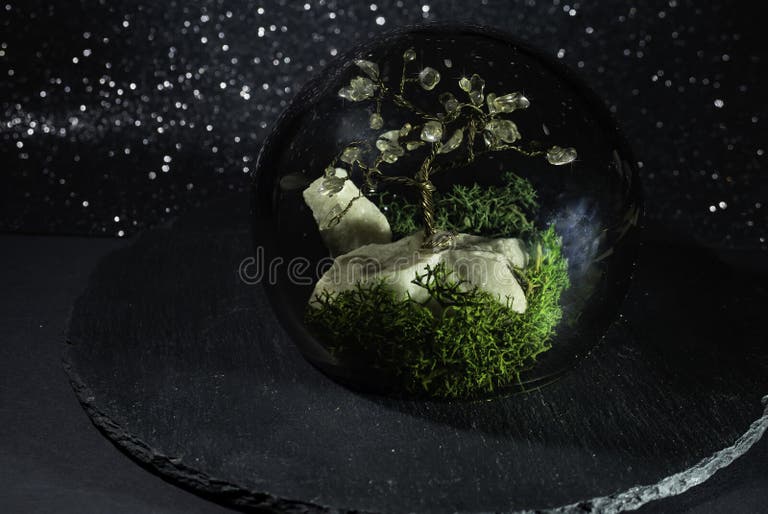 Sphere Terrarium with Moss and a Wire Tree Inside, on Dark Glittery ...