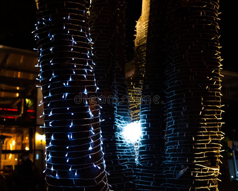 Sphere of Tree Wrapped in Lights at Night Stock Photo - Image of tree ...