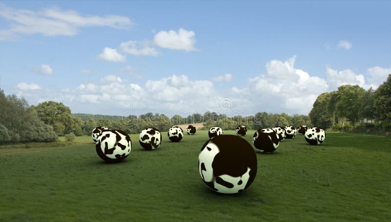 Spheric cows stock photo. Image of meadow, ball, herd - 33914116