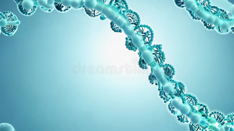 Spherical Bacteria Cluster Together, Forming Chains As they Replicate ...