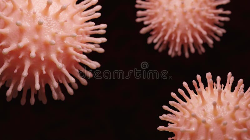 Spherical Bacterium with Processes Stock Footage - Video of black ...