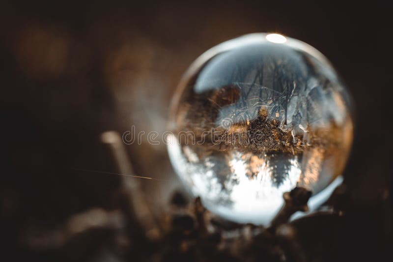 Spherical, Clear Crystal Sphere Reflecting the Surrounding Natural ...