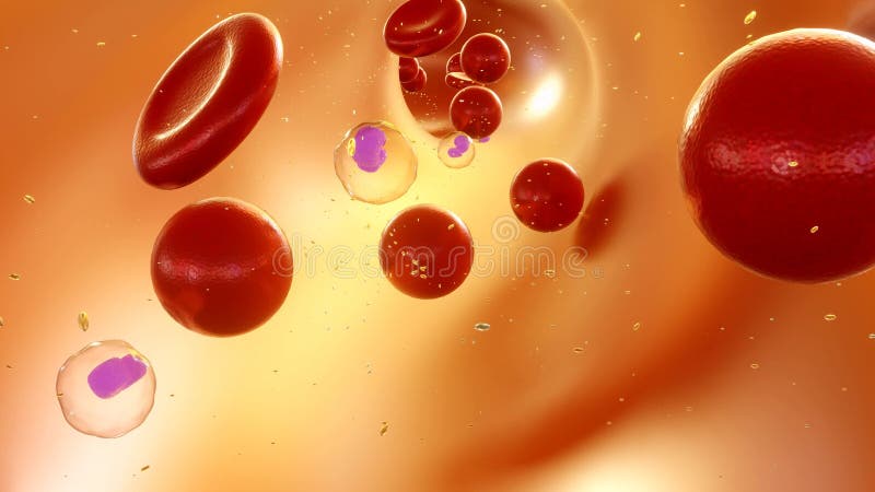 Spherocyte is a Red Blood Cell that is Spherical in Shape Stock Footage ...