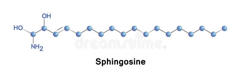 Esfingiosina O 2amino4transoctadecene1 Molécula Lipídica De 3 Diol ...