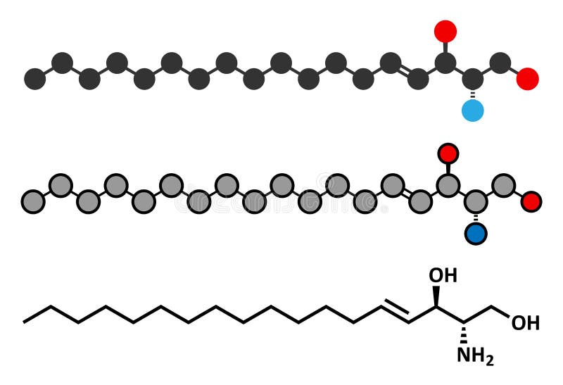 Sphingosine Lipid Molecule. Stock Vector - Illustration of chemical ...