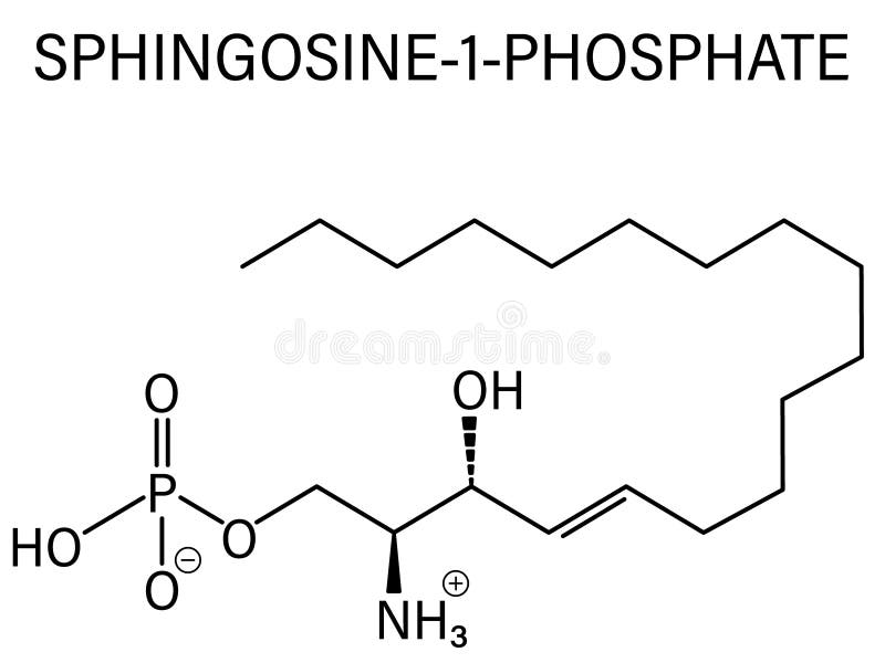 Sphingosine-1-phosphate Molecule Stock Vector - Illustration of ...