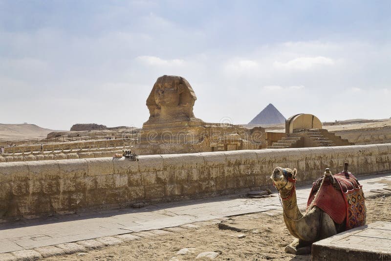 A sphinx stock photo. Image of history, giza, wonders - 50082966