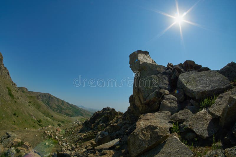Charpatian Root Stock Photos - Free & Royalty-Free Stock Photos from ... Charpatian Root Stock Photos - Free & Royalty-Free Stock Photos from ...