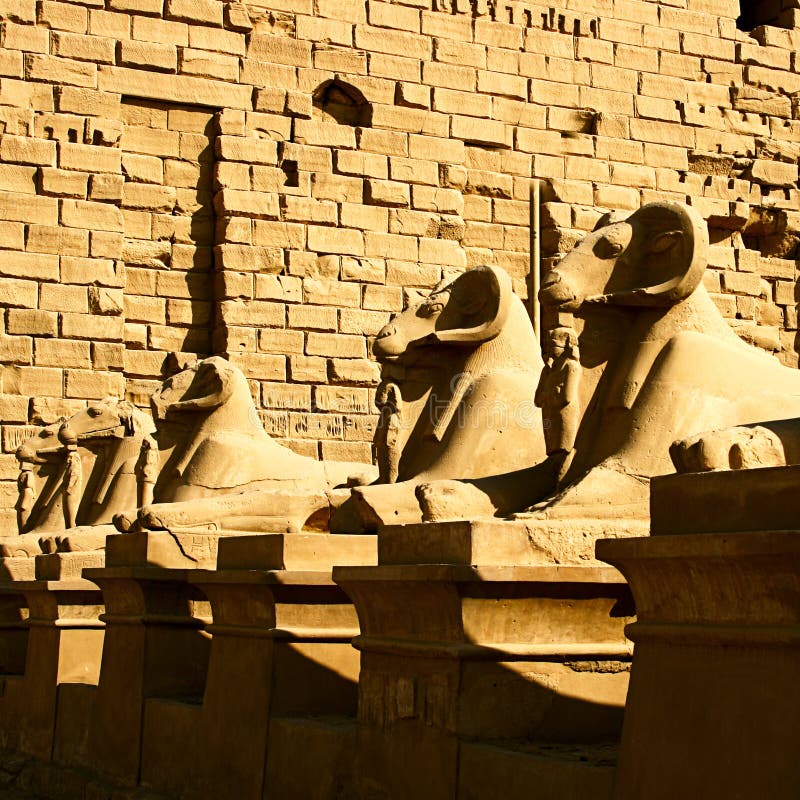 Sphinx-Tempel, Die Sphinx Und Die Pyramide Von Khafr Stockfoto - Bild ...