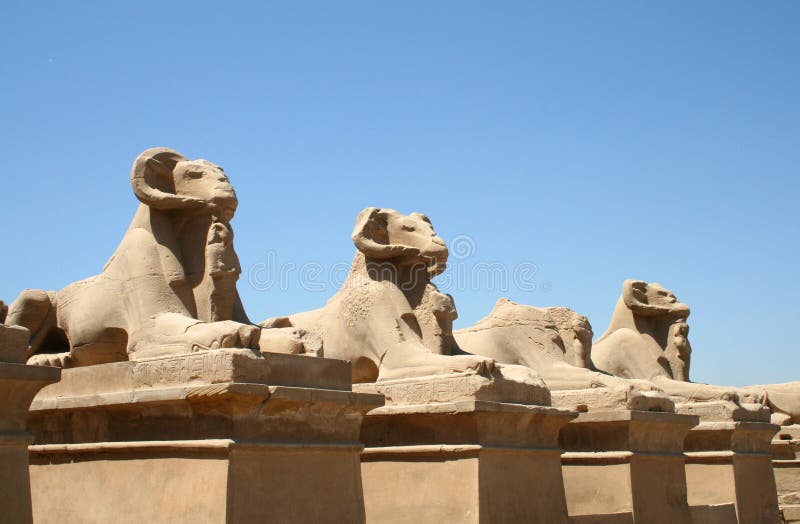 Sphinxes alley stock photo. Image of egypt, architectural - 13243016