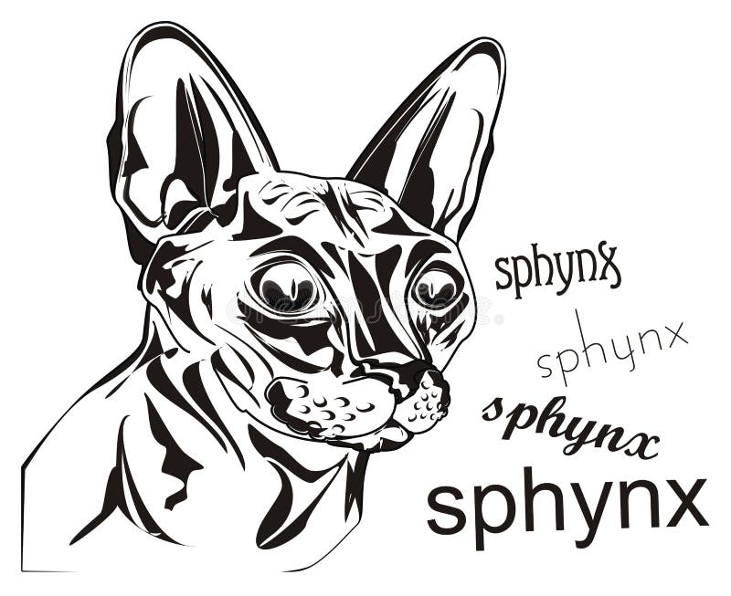 Sphynx and words stock illustration. Illustration of house - 181066418