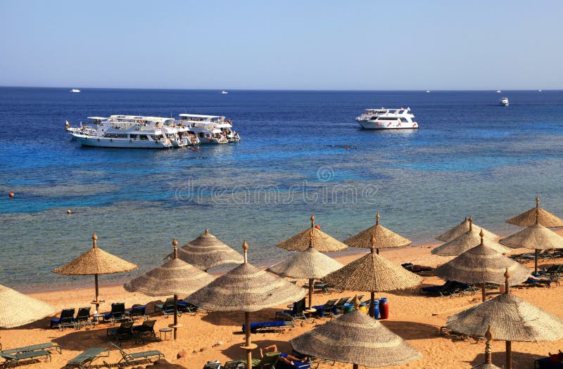 Sharm El-Sheikh, Egitto, Mar Rosso Immagine Stock - Immagine di oceano ...