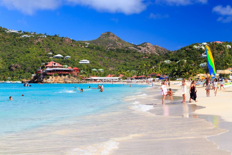 L'isola Di St Bart Dell'isola Della St Barth, Coperture Caraibiche ...