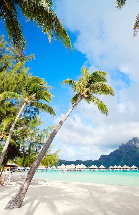 Spiaggia di Bora Bora fotografia stock. Immagine di romantico - 26477798
