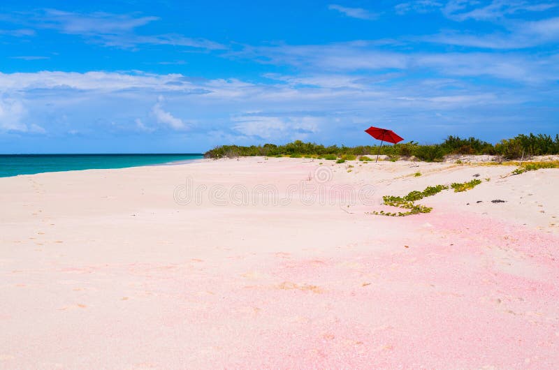 Spiaggia di sabbia rosa fotografia stock. Immagine di paesaggio - 85517150