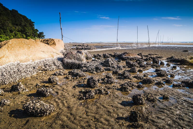 Spiaggia di Teluk Sisek fotografia stock. Immagine di spiaggia - 47866456