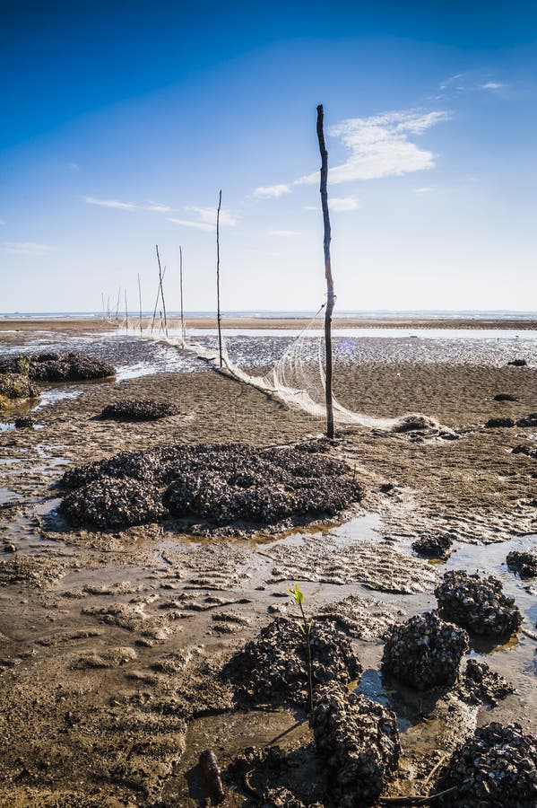 Spiaggia di Teluk Sisek fotografia stock. Immagine di paesaggio - 47866462