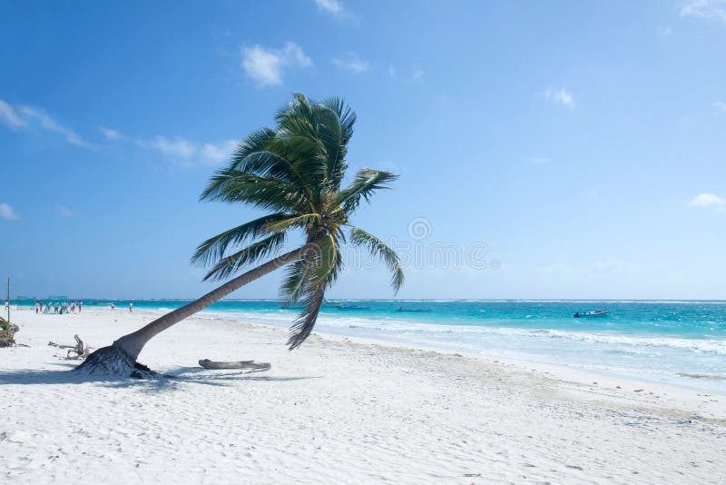 Spiaggia di Tulum, Messico immagine stock. Immagine di messico - 39342331