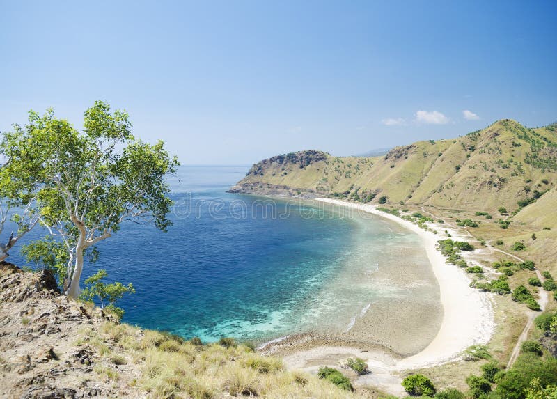 Spiaggia E Litorale Vicino a Dili Nel Timor Orientale Immagine Stock ...
