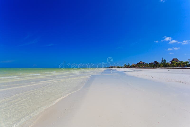 Spiaggia Tropicale Nell'isola Di Holbox, Messico Immagine Stock ...